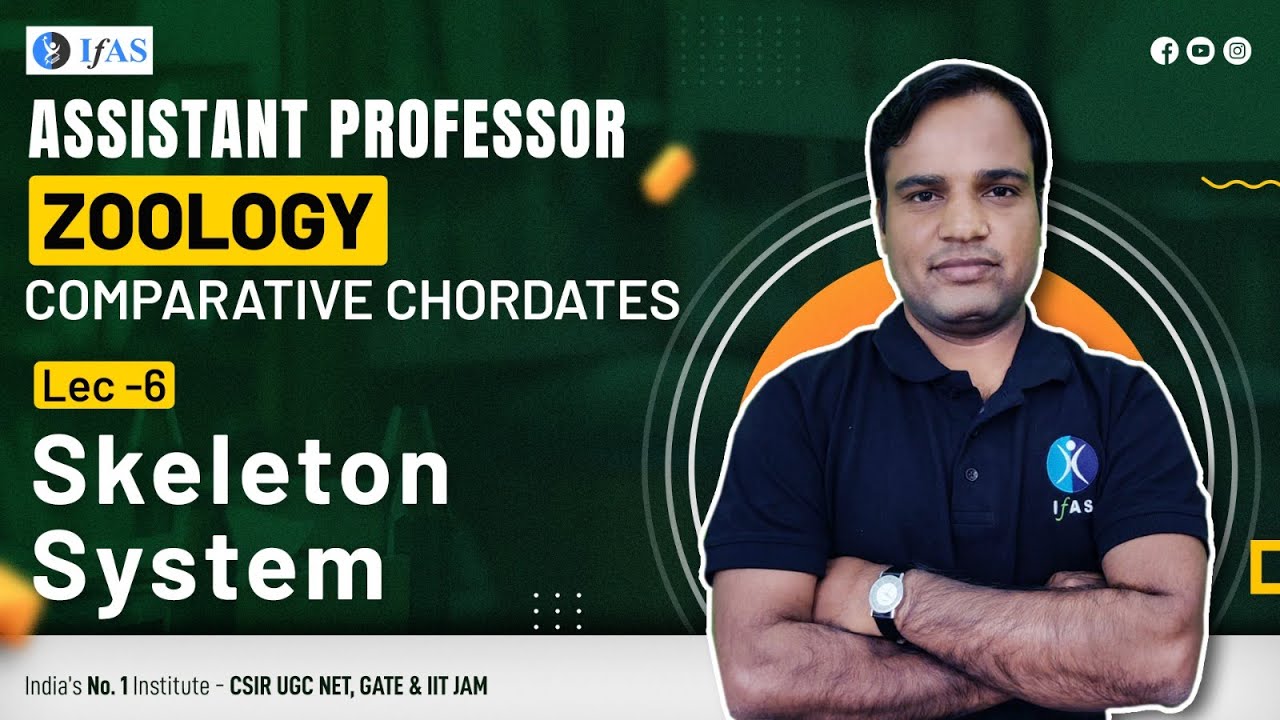 Introduction Of Endoskeleton System in Zoology | RPSC Assistant ...