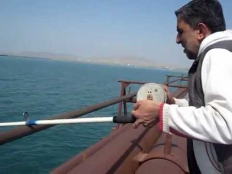 Ribalka na kutum Haci Kamran by Gunahkar Qul