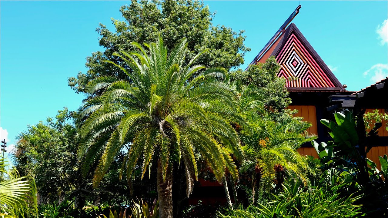 Relaxing Walk Around Disney's Polynesian Resort in 5K! Walt Disney ...
