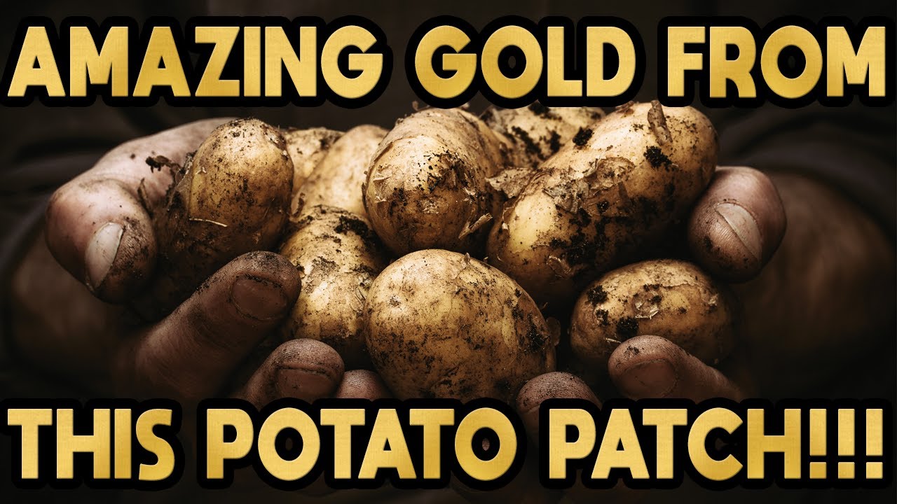 FirstCreekTreasures.com $200 Potato Patch Bag Gold Paydirt Review #297 ...