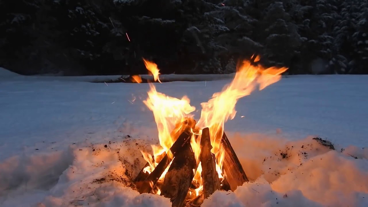 Relaxing: Crackling Campfire, 8hrs, in Forest Snow to Help You Relax ...