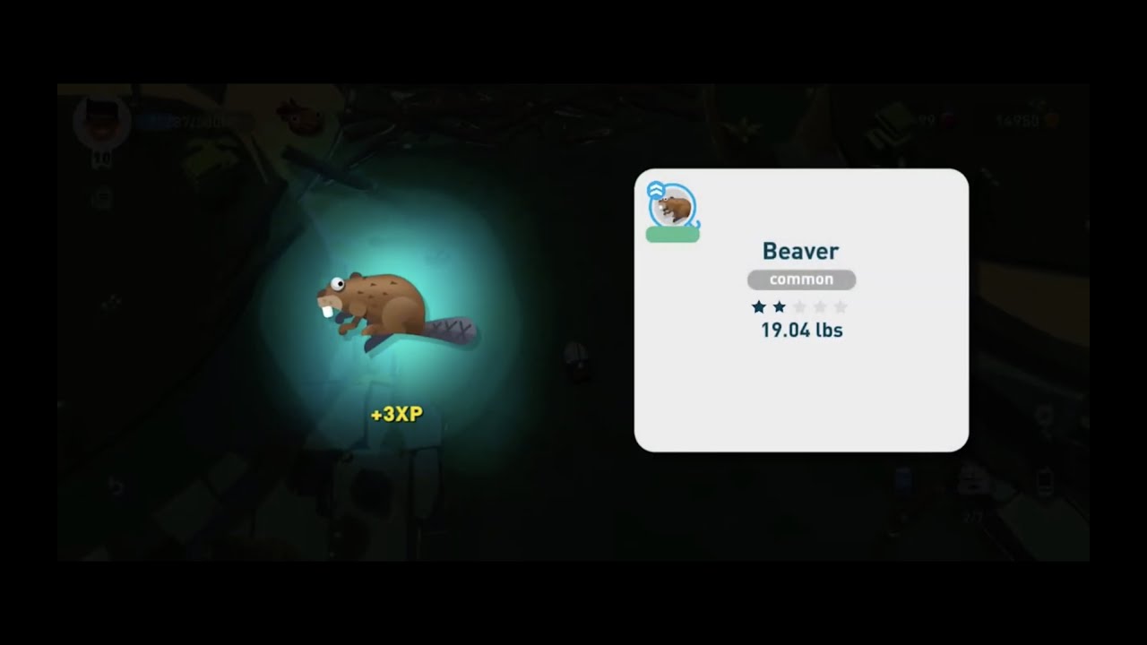 Beaver Location - Creatures of the Deep - YouTube