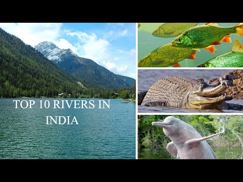 Top 10 rivers in India | Indian River | Longest River #river #adventure ...