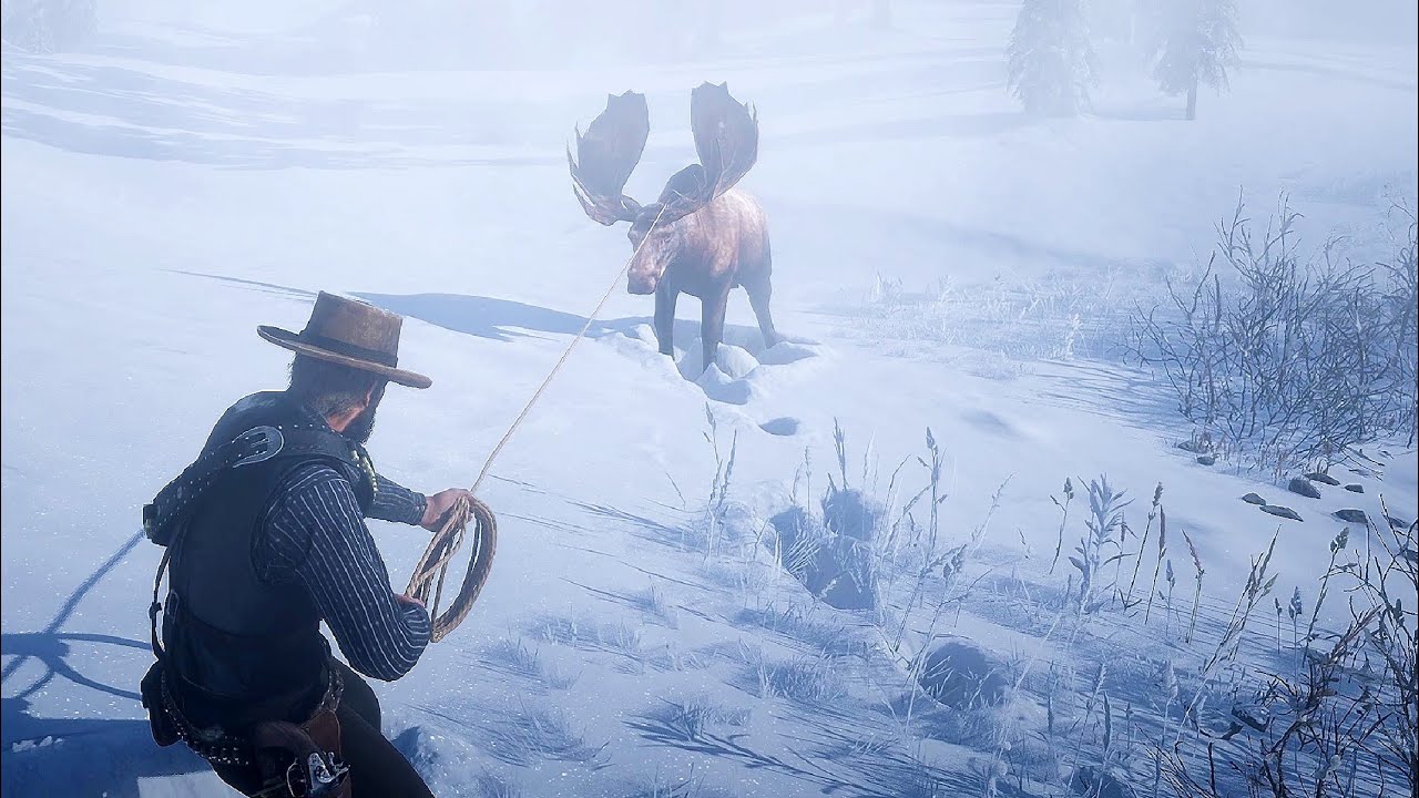 Rdr2 - When you find super rare animal - YouTube