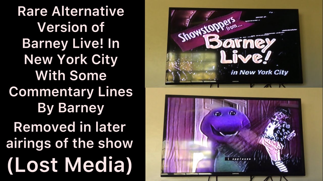 Rare Alternative Version of Barney Live! In New York City (Lost Media ...