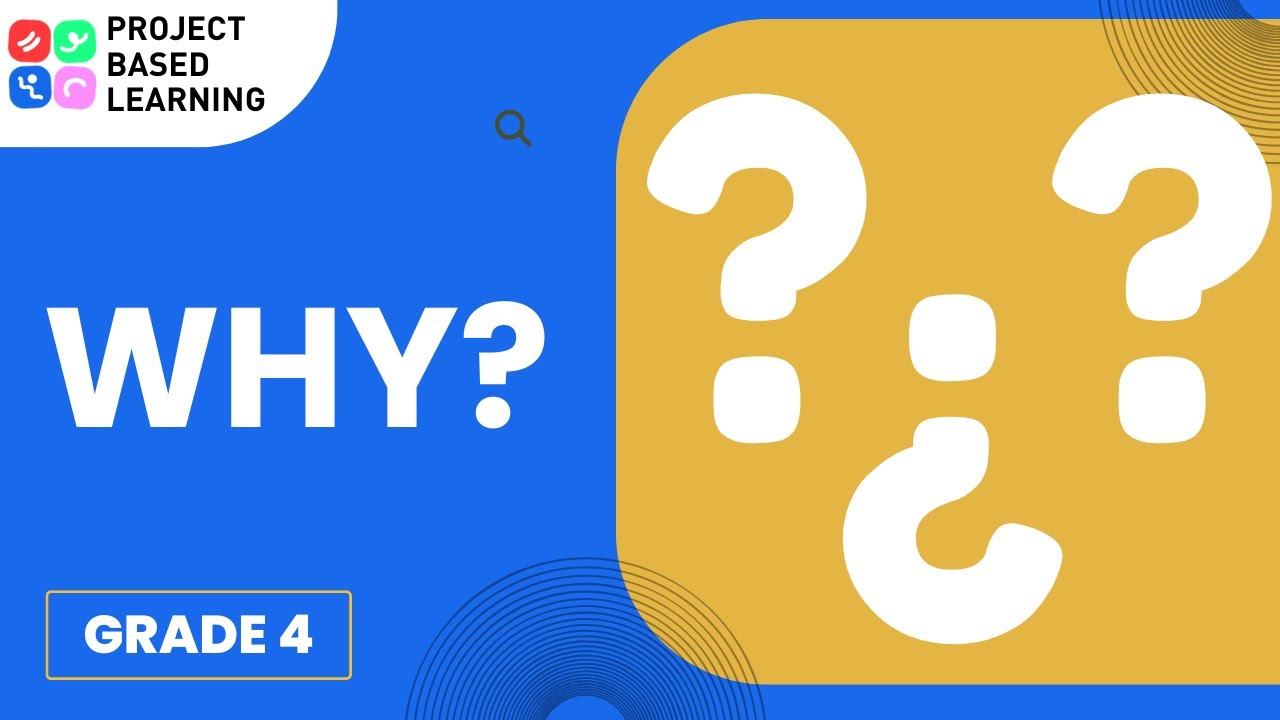 PBL Video Guide| Grade 4| PBL 3| Why? - YouTube