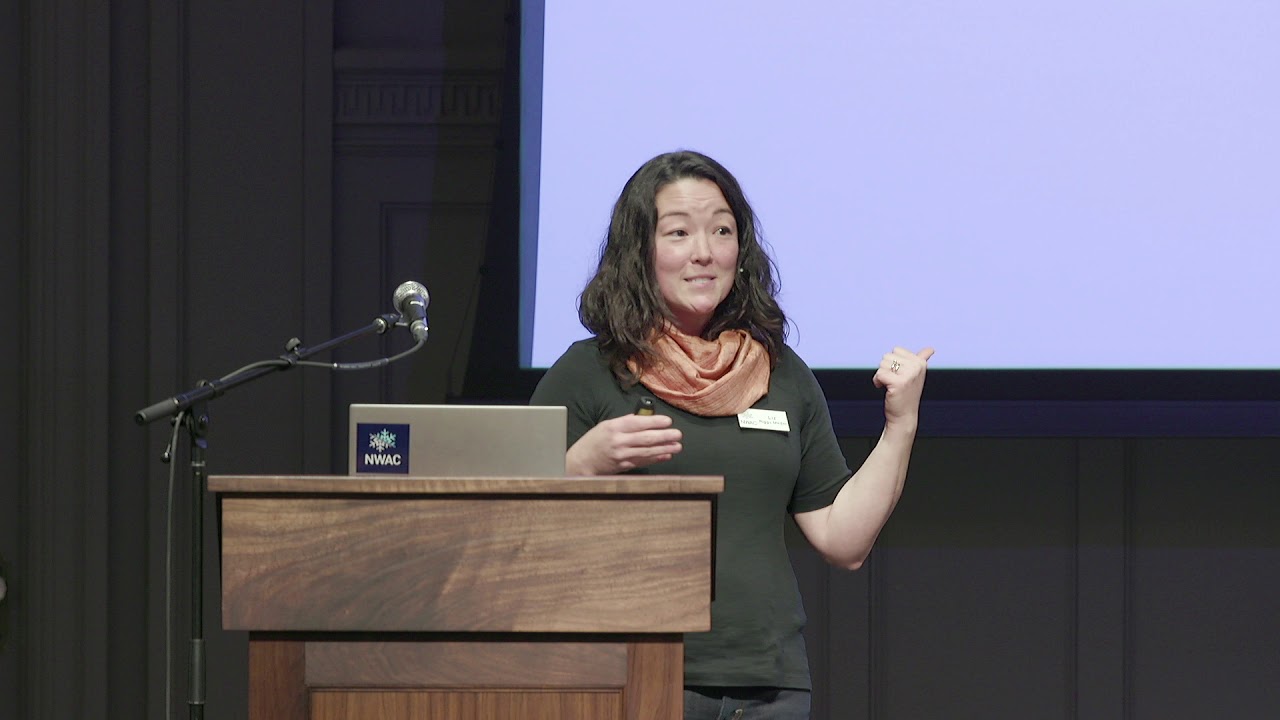 NSAW 2019 - Liz Riggs Meder - Building Experience in Wicked Learning ...