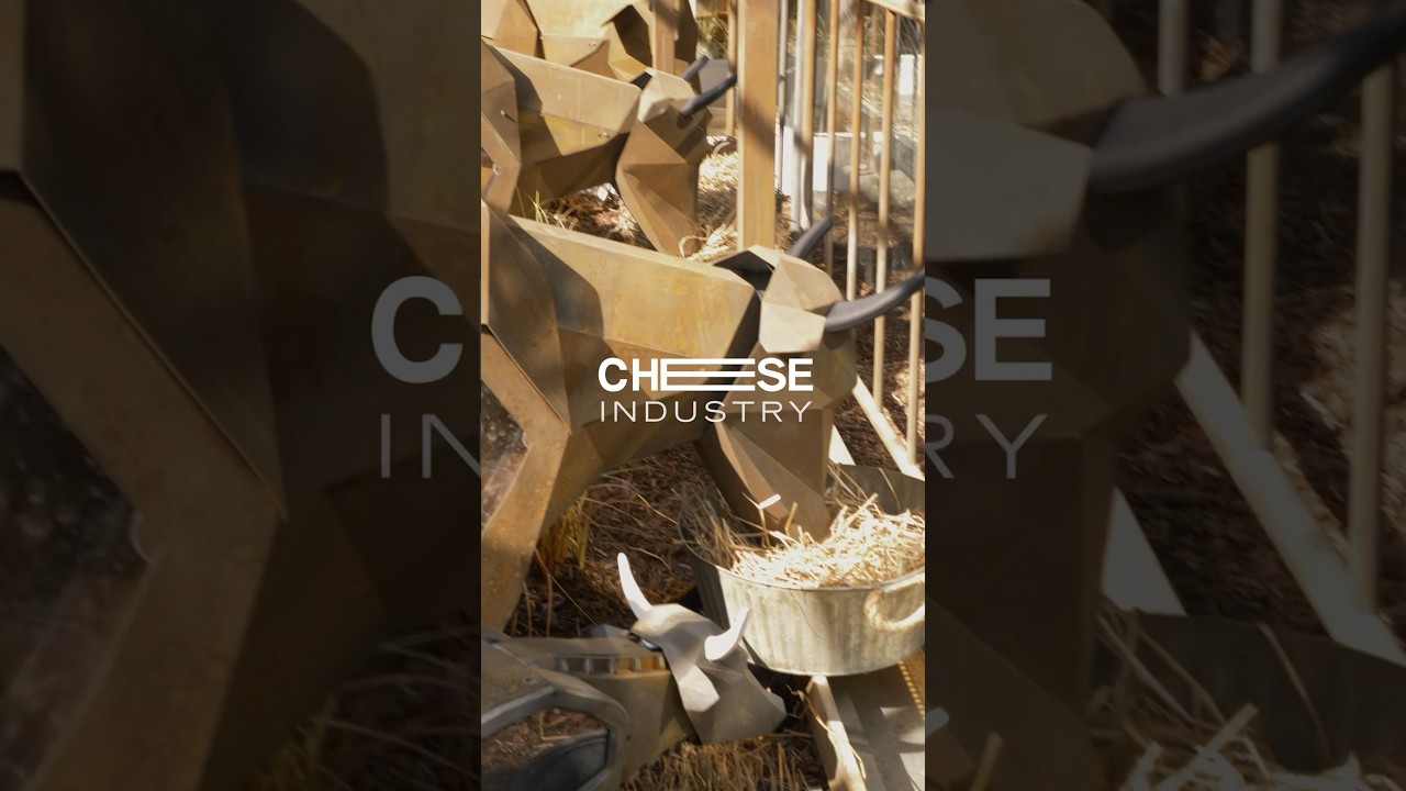 치즈인더스트리 로봇 소와 직접 만드는 치즈를 만나세요 익선동 신선한 치즈인더스트리 Youtube