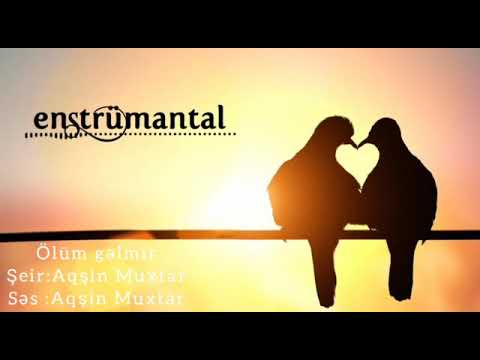 Aqwin Muxtar-olum gelmir(weir)