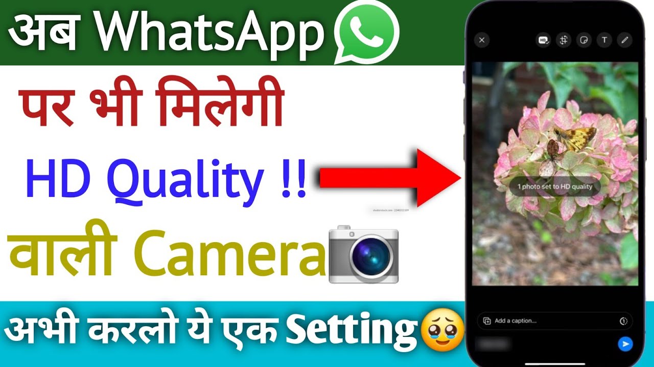 How to set WhatsApp hd camera quality |WhatsApp video call hd quality ...