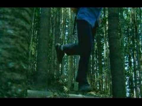 Gerling – The Deer In You (2001, Digi-Pack, CD) - Discogs