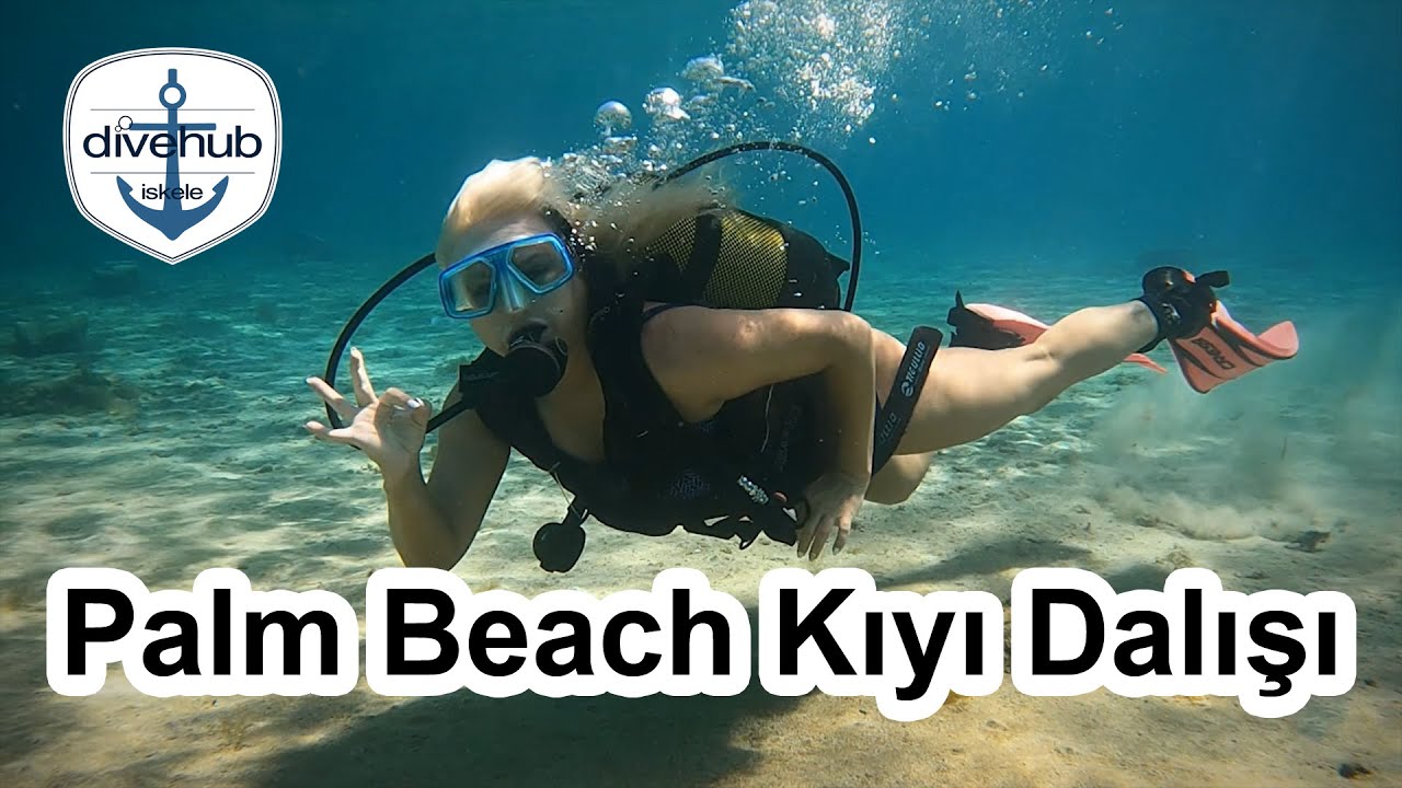 Dive Hub'la Kıyı Dalışları - YouTube