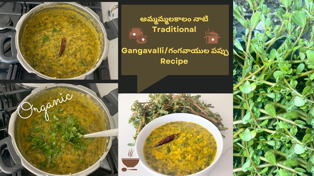 Gangavalli pappu recipe | Traditional గంగవల్లి /గంగవాయుల పప్పు | summer ...
