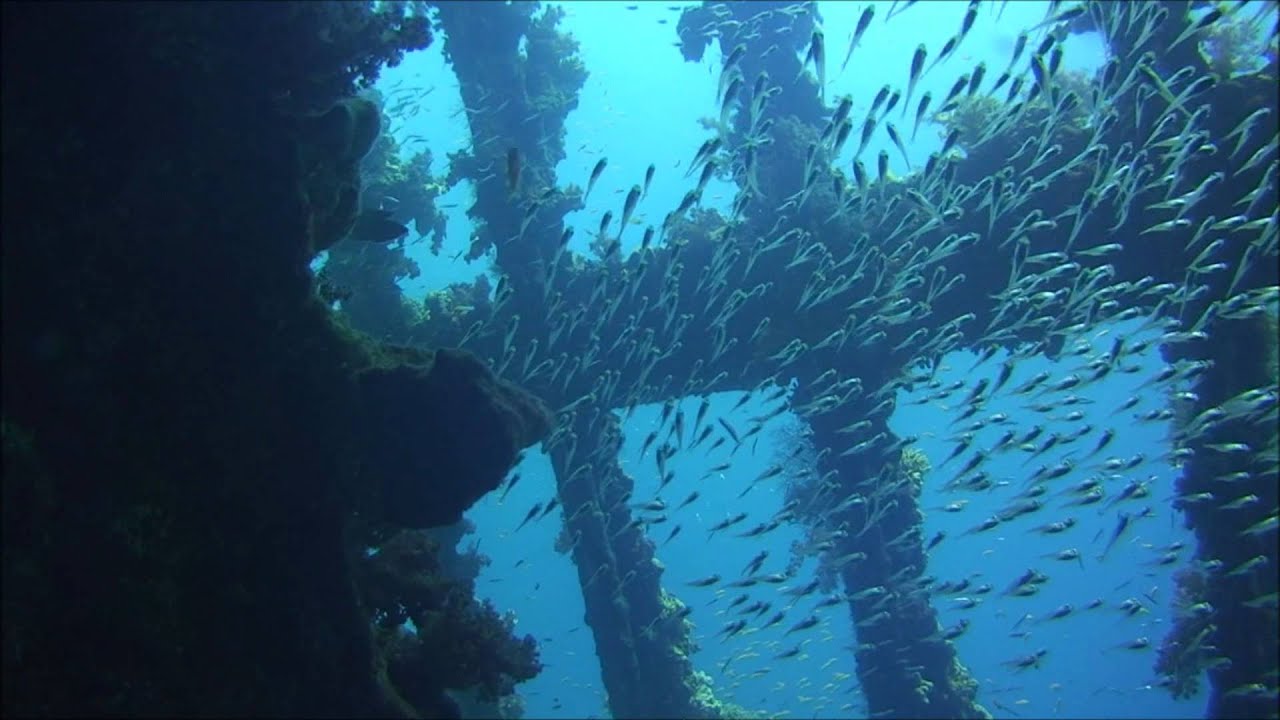 Croisière Nord 2012: Les épaves du Carnatic, Chrisoula K et du Kingston ...