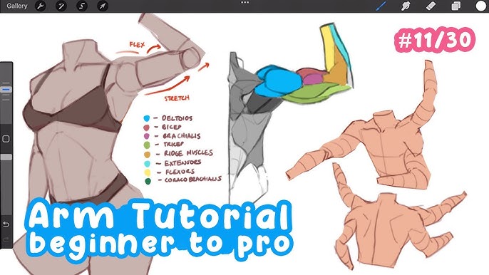 Muscular Arm Side Drawing
