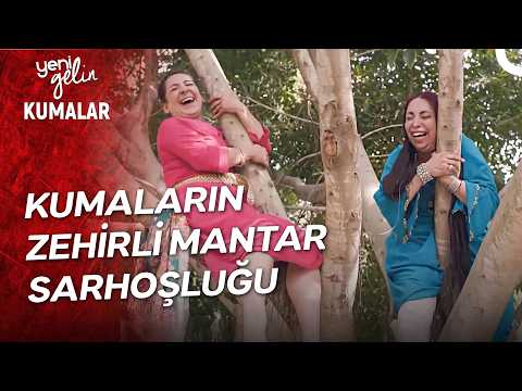 Zehirli Mantar Yiyen Kumaların Son Hali 😅