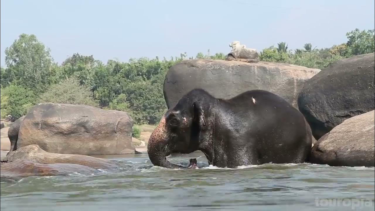 25 Most Amazing Ancient Ruins of the World - YouTube