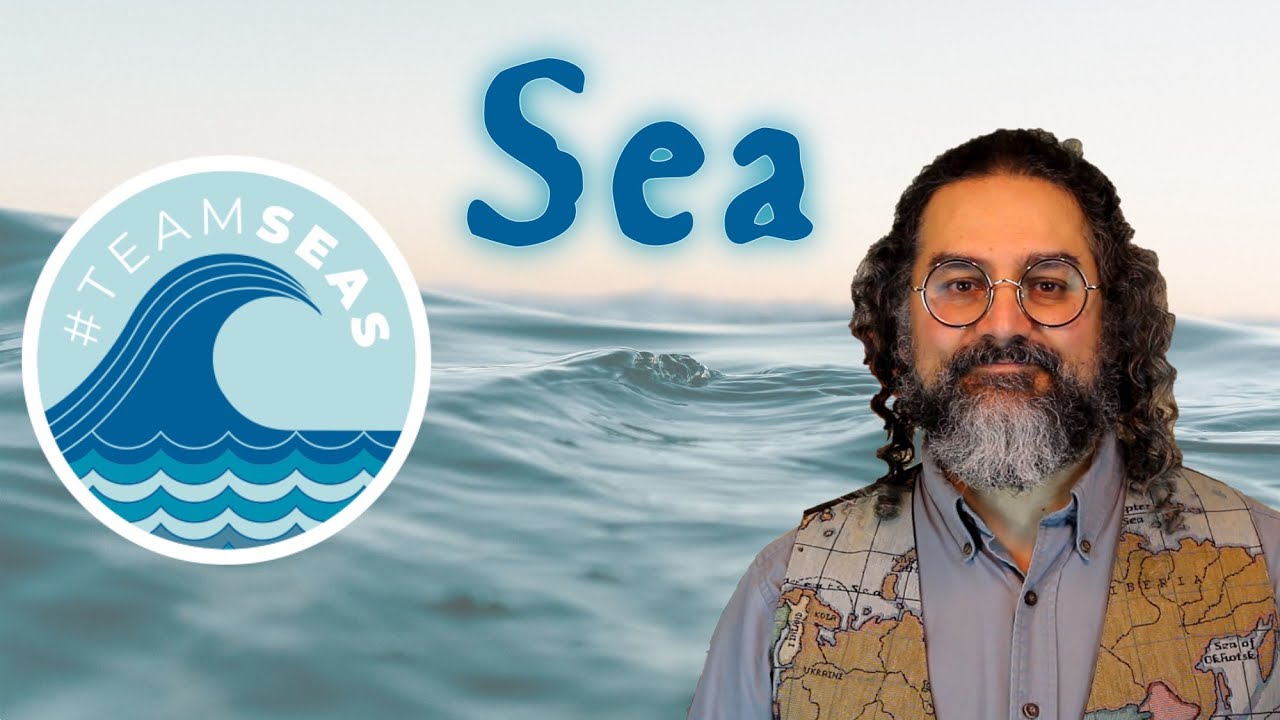 Saving the Etymological Sea for #TeamSeas - YouTube
