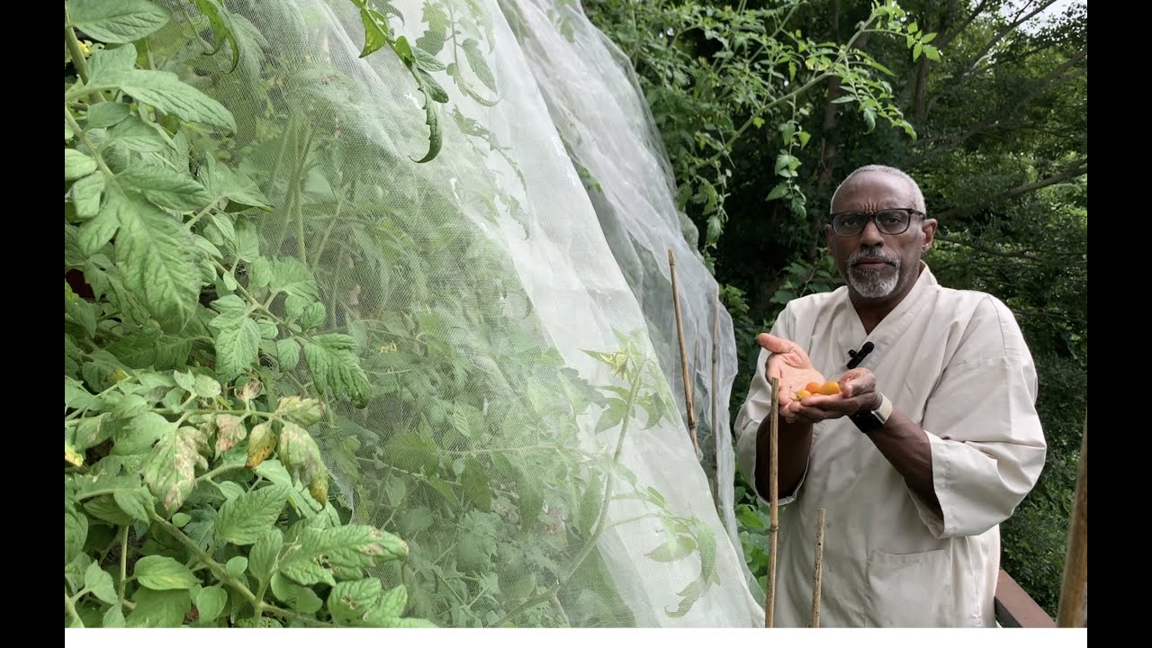 Rainy Season Returns + Spunky's Update - YouTube