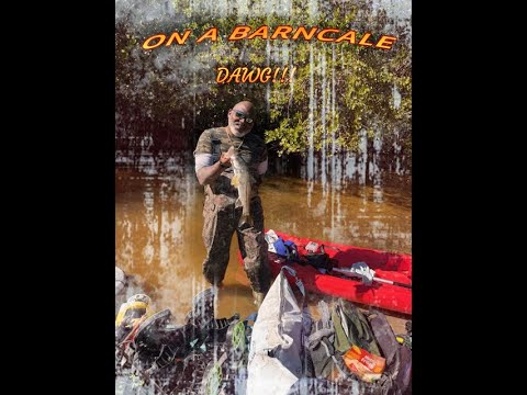 Crazy Baits Crazy Fish.......AMAZING TIME - YouTube