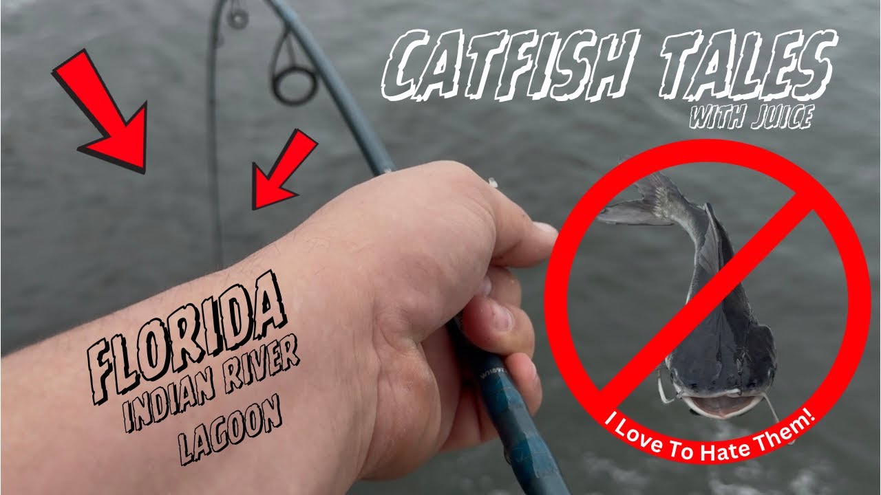 CATFISH TALES #fishing #adventure #fun #catfish #florida #indianriver # ...