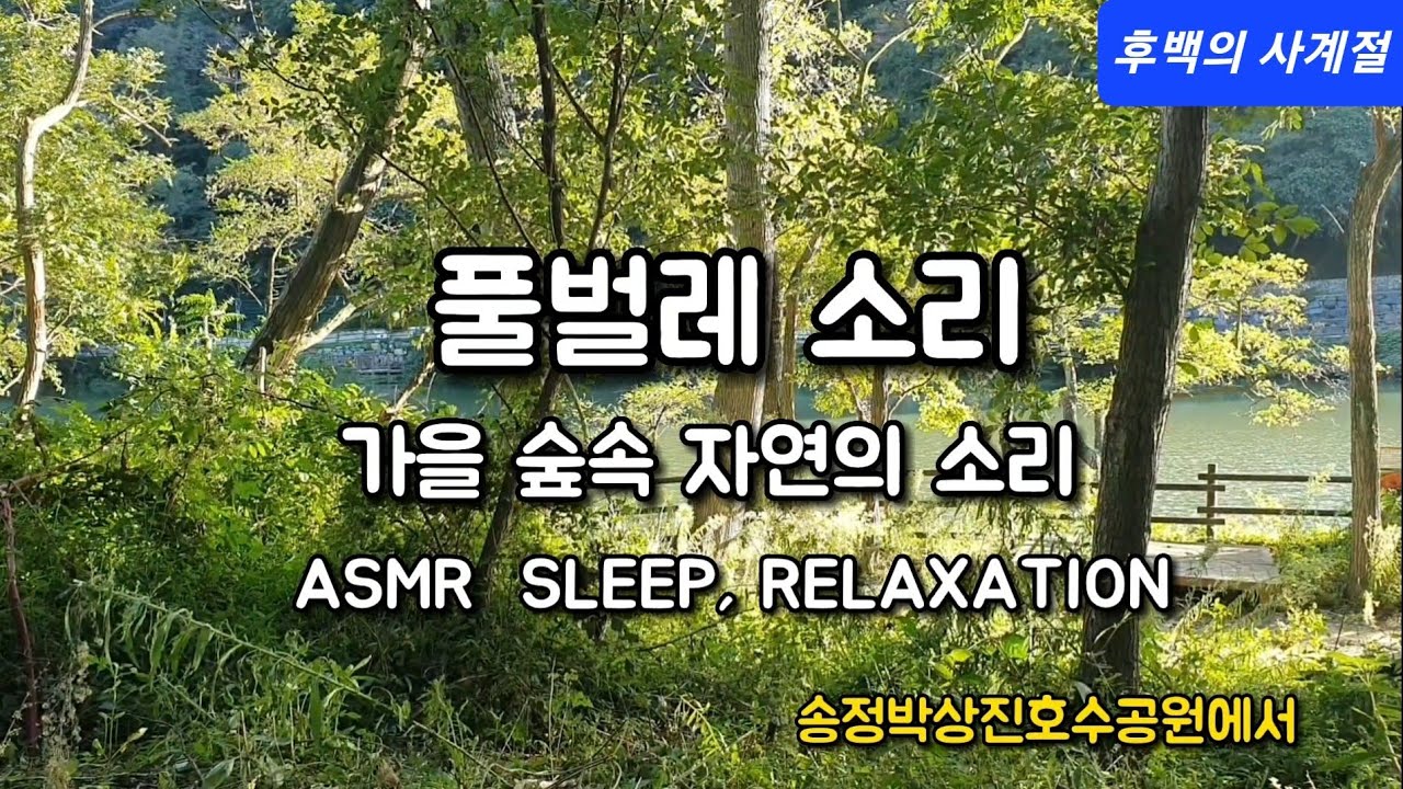 Grass Bug Sounds ASMR YouTube grass-bug-sounds-asmr-youtube