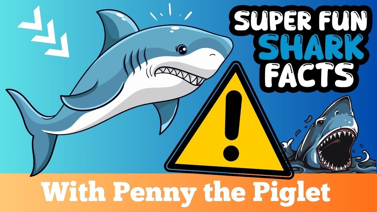 Explore 10 Great White Sharks Facts with Penny the Piglet | Fun and ...