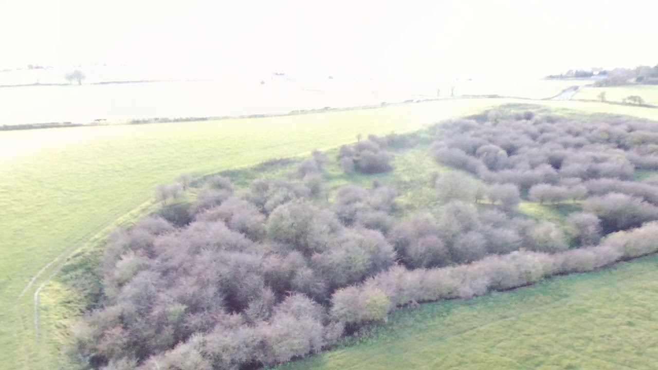 Bebop 2 Power Drone - Performance Test And Video Test bebop 2 power ...