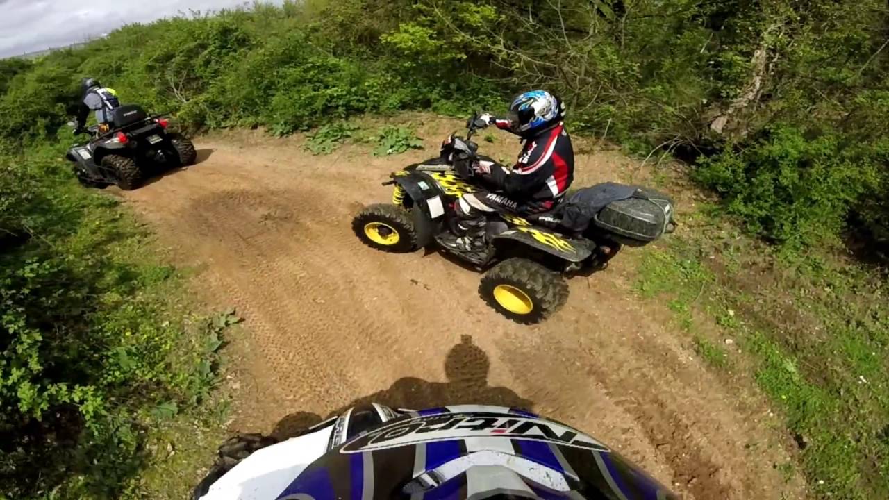 les piwi de sortie avec un nouveau - YouTube