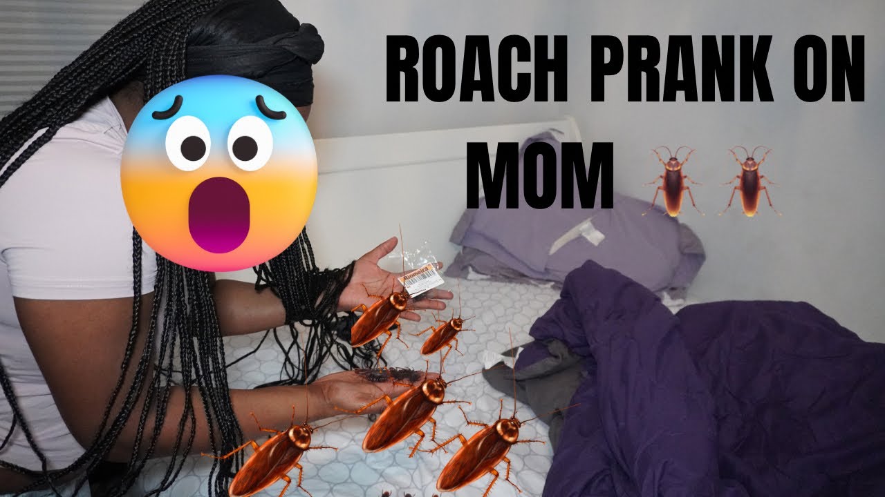 ROACH PRANK ON MY MOM 🪳🪳 * SHE WENT CRAZYY* - YouTube