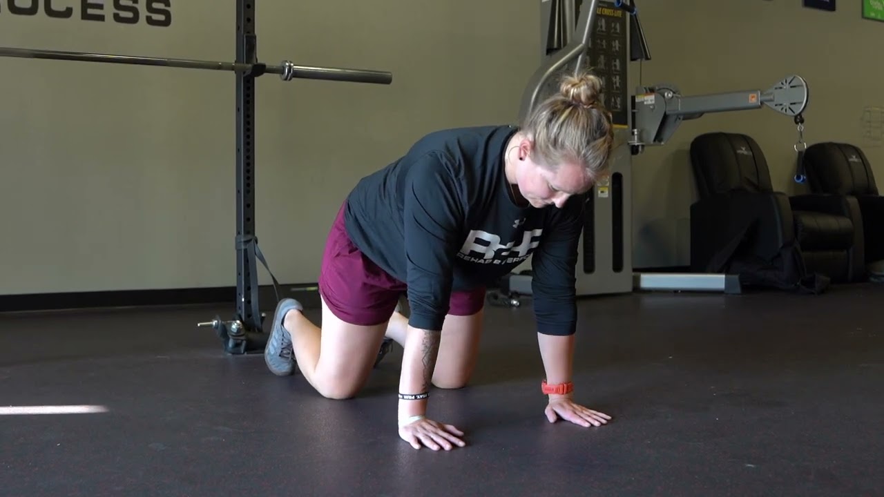 Quadruped Sit Back - YouTube