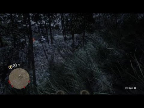 this is 1st time i seen this it says leader-X on tree? Wonder if its ...