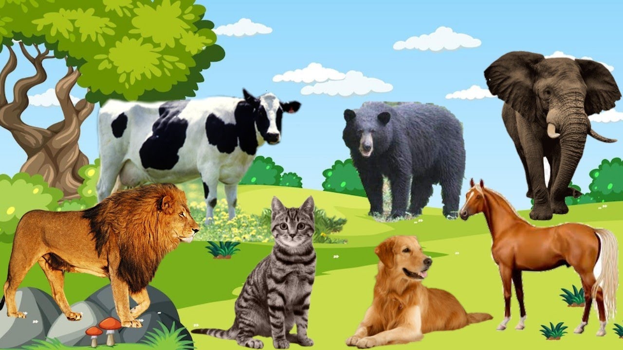 Top Ten Animals and Birds Sound Effects Part 1 - YouTube