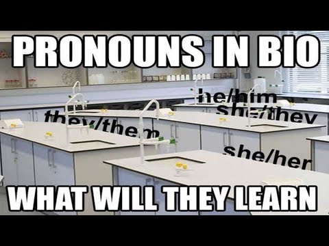 r/Surrealmemes | finally, pronouns in bio