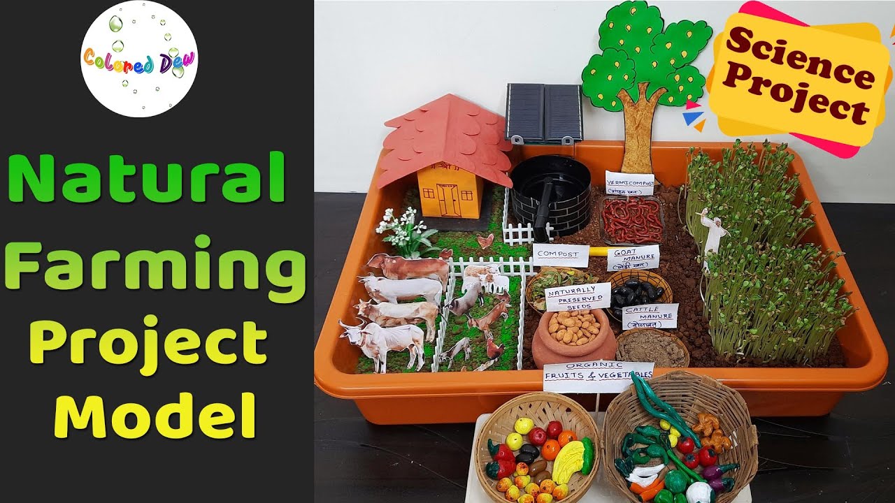 Natural Farming Project Model | Agriculture model | Organic farming ...