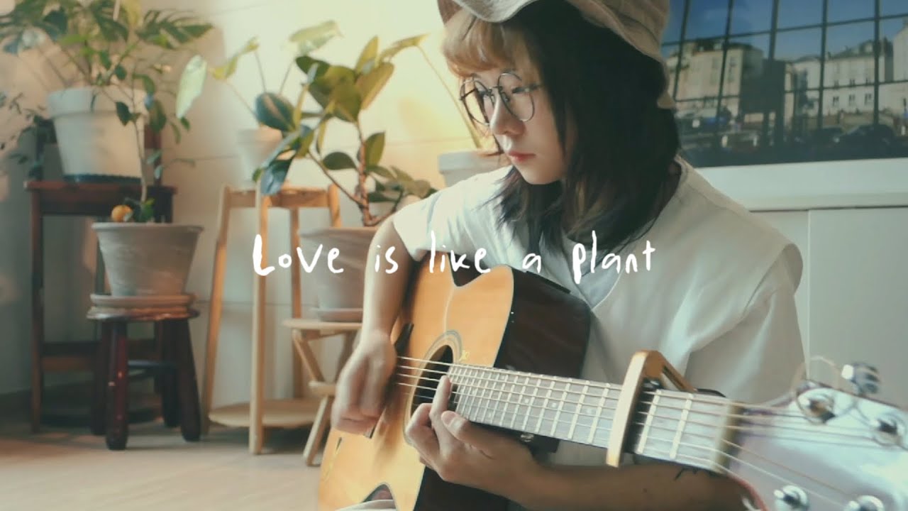 SONi《Love is like a plant》Official Music Video - YouTube