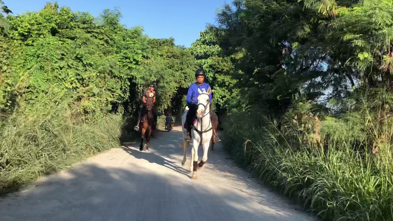 Iskandar Polo Champ in the making - YouTube