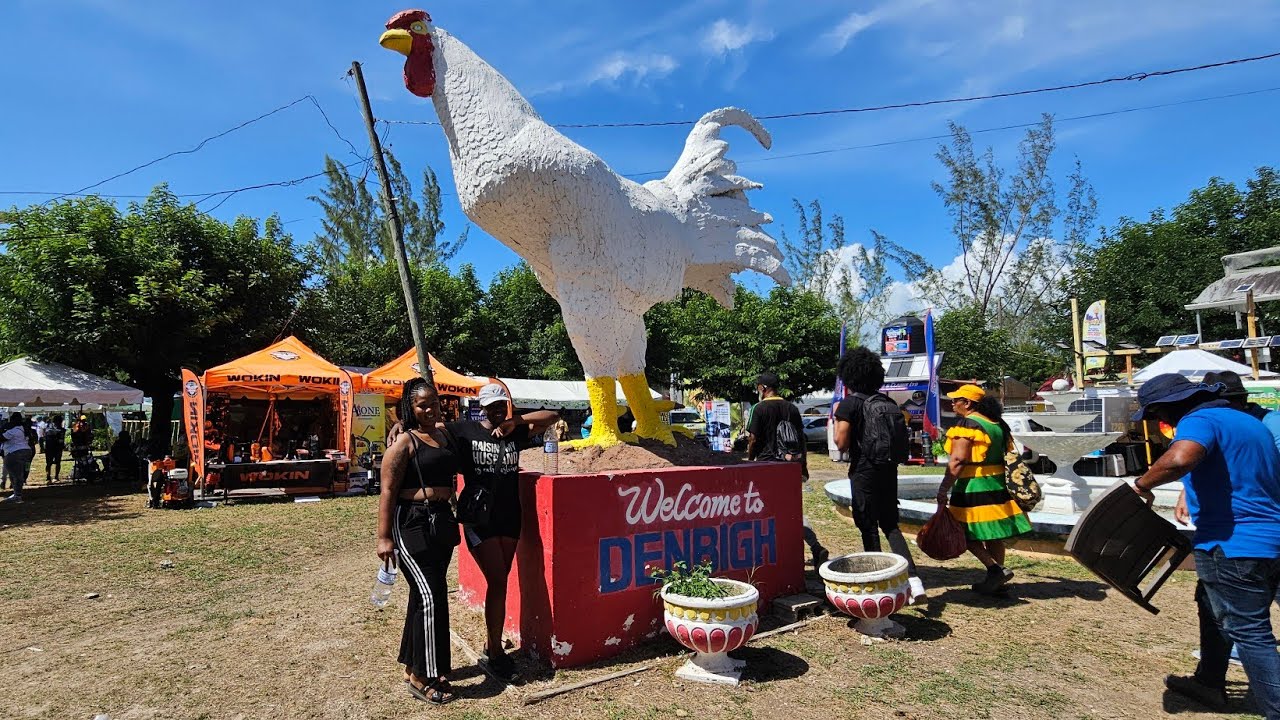 Denbigh Agricultural Show Highlights - YouTube