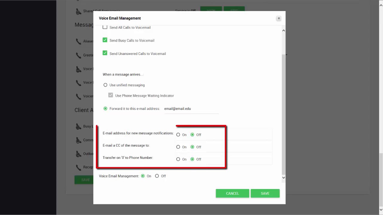 VoIP Portal – Voice Email Management - YouTube
