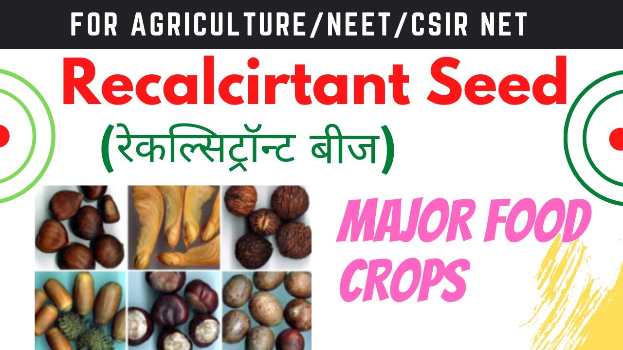 What is Recalcitrant Seed? and its examples | Recalcitrant बीज क्या है ...