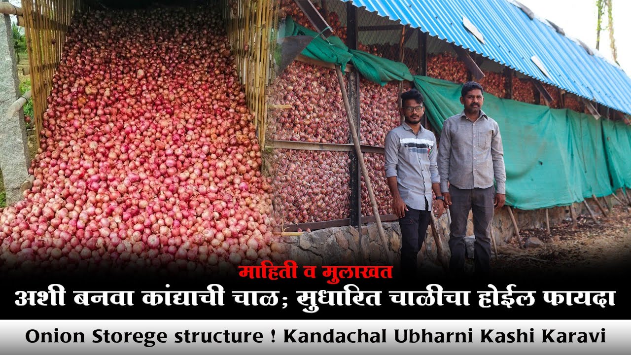 कांदा साठवणूक व कांद्याची चाळ कितपत फायदा देते ! | Onion Storege ...
