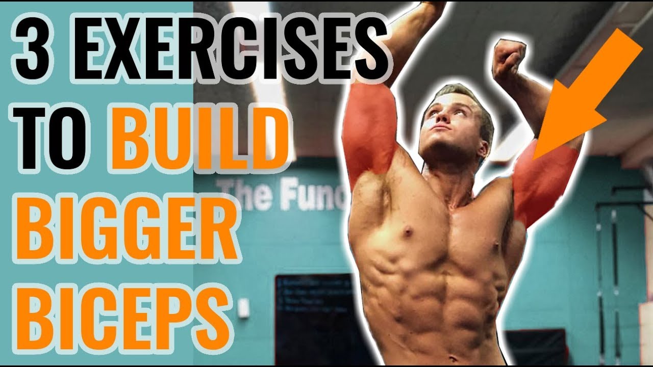 3 EXERCISES TO GROW YOUR BICEPS | I just launched my new APP! - YouTube