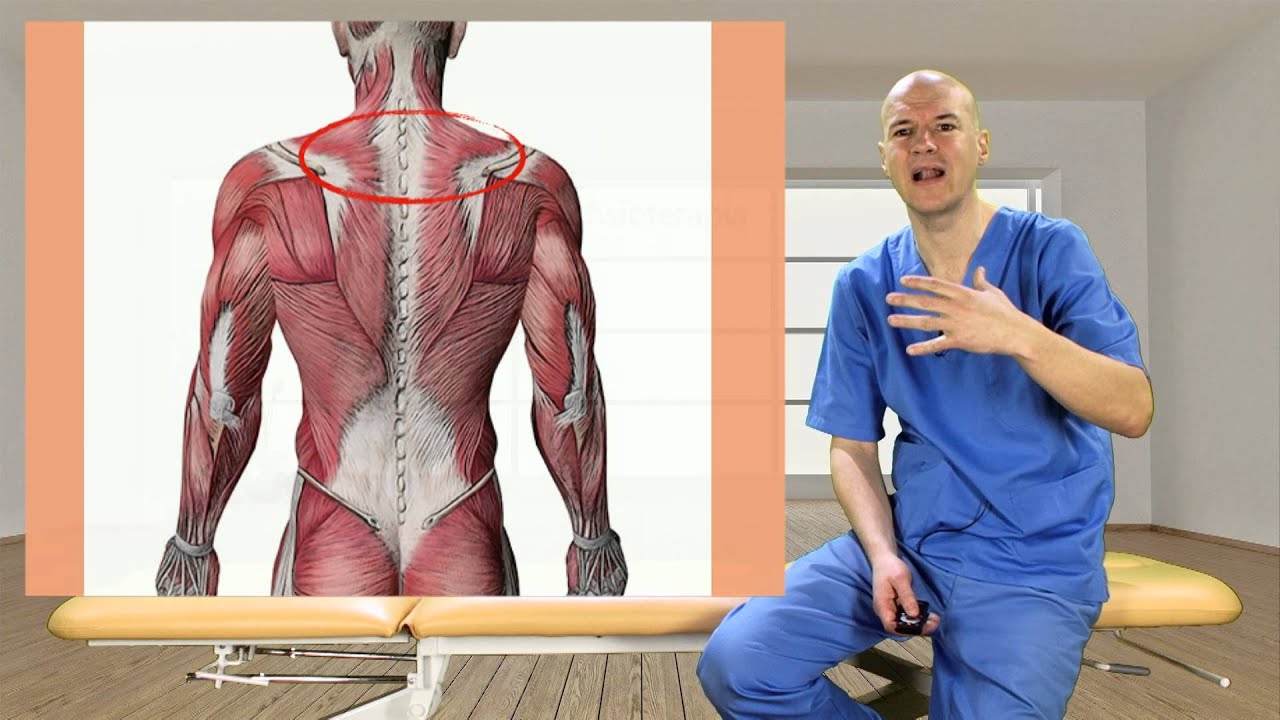 Lumbago o lumbalgia - Causas y tratamiento - Fisioterapia Bilbao - YouTube