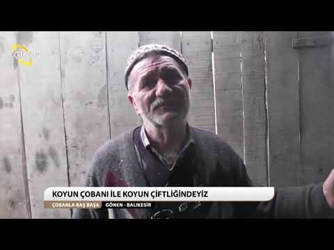 ÇOBANLA BAŞ BAŞA/GÖNEN-BALIKESİR-KOYUN ÇOBANI İLE KOYUN ÇİFTLİĞİNDEYİZ