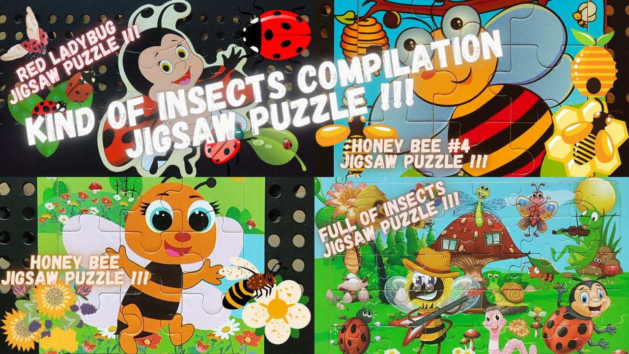 Kind of Insect Compilation Jigsaw Puzzle for Kids 🧩 - YouTube