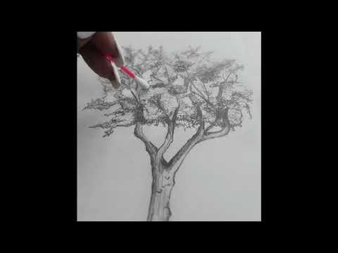How To Draw A Tree For Beginners In Easy Steps|| Pencil Drawing With ...