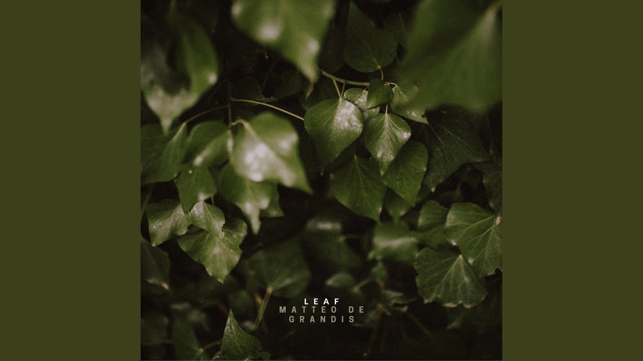 Leaf - YouTube