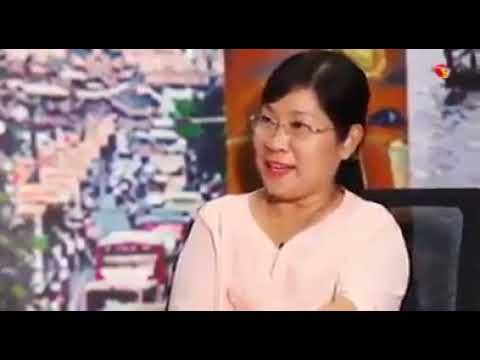 Dr Moe Thida Htwe's Discussion with Irrawaddy on Rohingya Ethnicity - YouTube