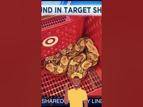 Target customers are in for a surprise when a 6 foot snake is found in ...