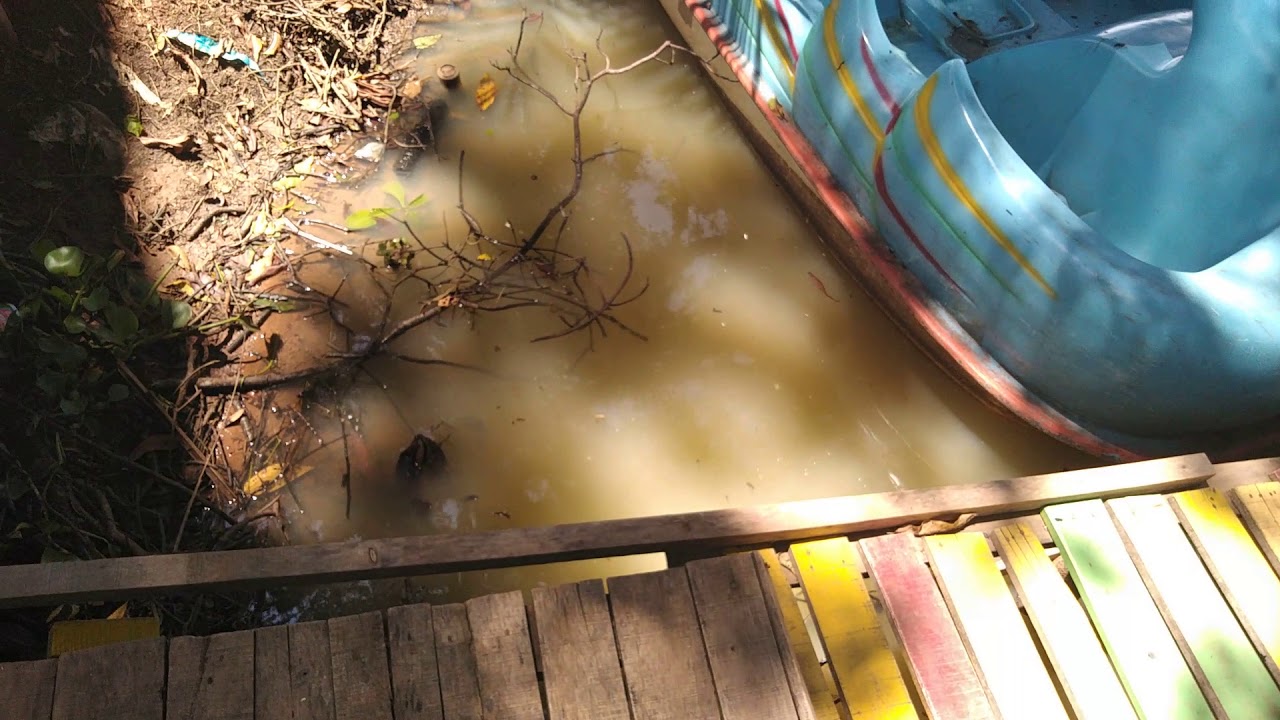 Dam raman 22.11.2018(1) - YouTube